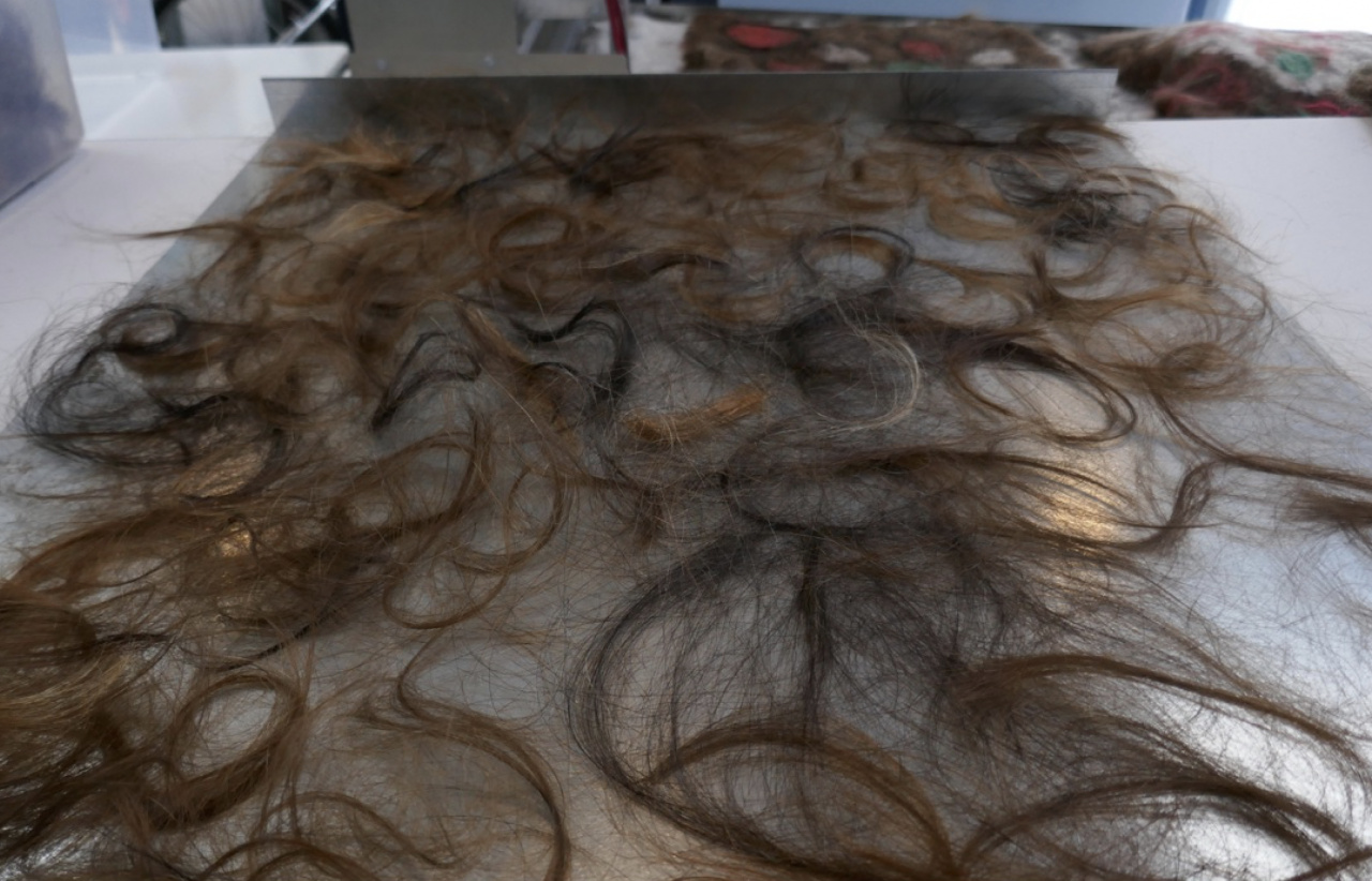 Hair Matters Media Gallery | MatterofTrust.org